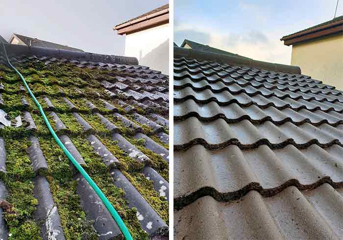 Before-and-After-Roof-Cleaning – Master Blaster